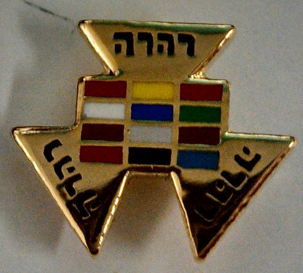 D300 Lapel Pin Past High Priest - Dean Masonic Supply / Blue Lodge Aprons